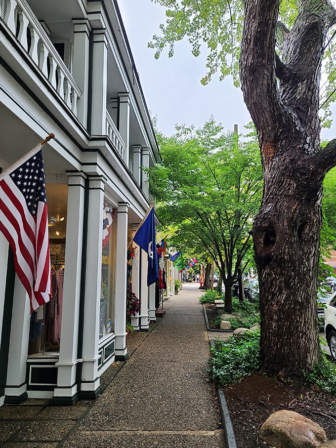 Sidewalk shopping that's actually enjoyable because nobody's rushing and everything feels wonderfully unhurried and personal.