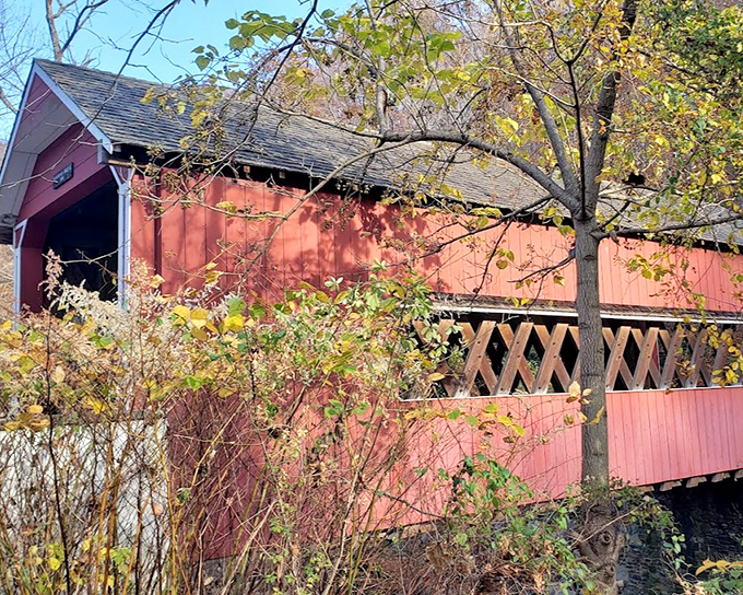 Like a bashful landmark hiding behind its leafy neighbors, the bridge reveals just enough of its charm to make you want to see more.
