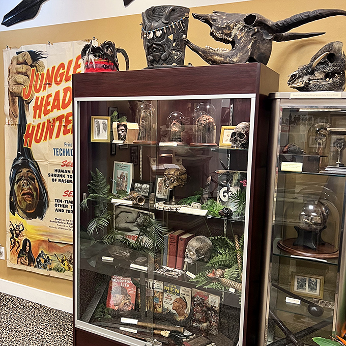 Shrunken heads and animal skulls create a display that would make Indiana Jones reconsider his career choices entirely.