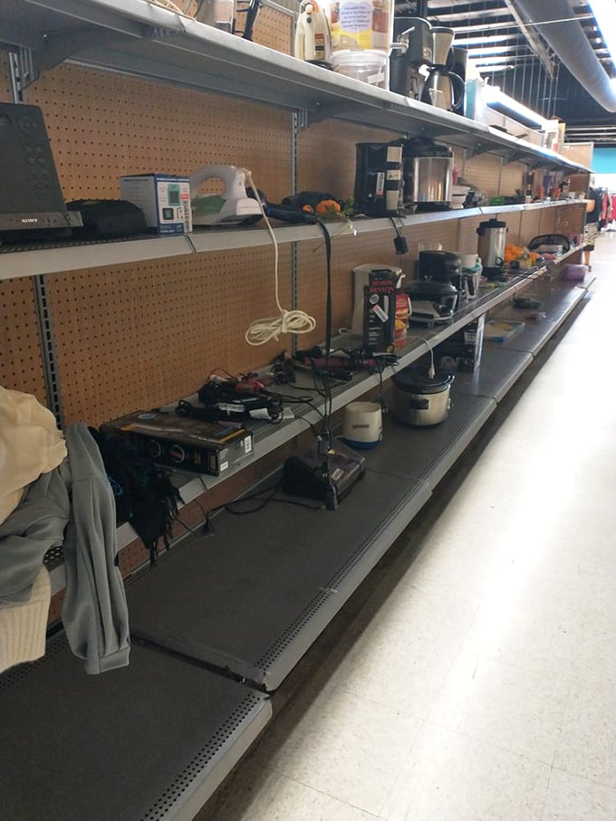 The small appliance section: where coffee makers, rice cookers, and blenders get their second act. Someone's wedding registry overflow becomes your kitchen upgrade.