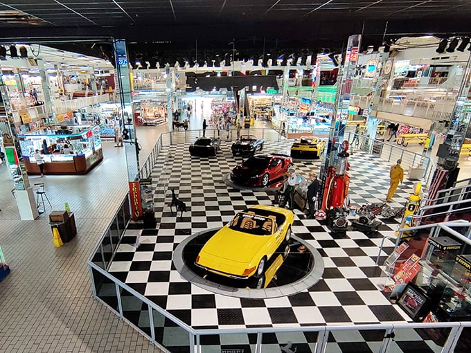 Where exotic cars and everyday bargains share real estate. The ultimate Florida juxtaposition that somehow makes perfect sense when you're there.