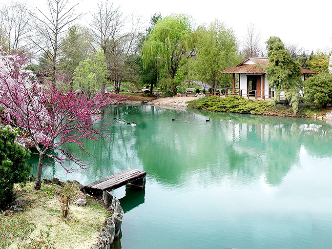 Spring explodes with color as redbud trees frame the misty blue-green waters. The tea house waits patiently for visitors seeking a moment of reflection.