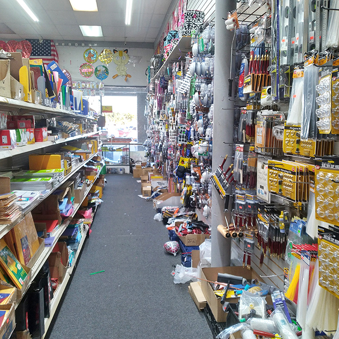 School supplies and office essentials create a wonderland where productivity meets penny-pinching perfection.