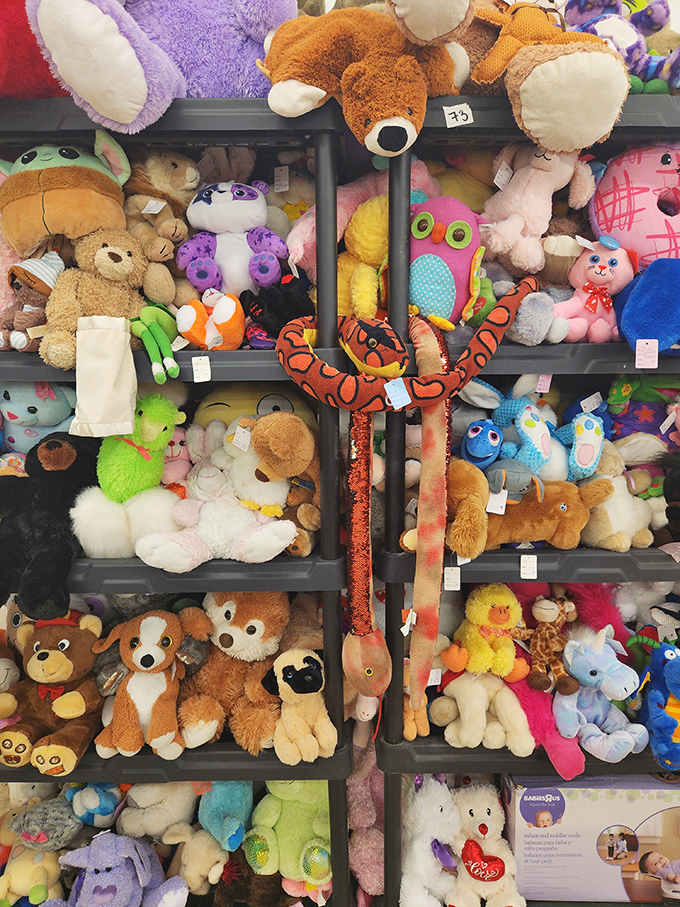 The island of misfit toys has nothing on this plush menagerie. That long orange snake has seen things, my friends.