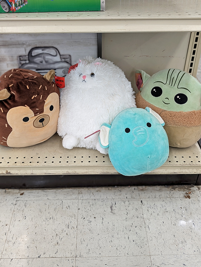 The stuffed animal adoption center, where plush hedgehogs and Baby Yoda lookalikes wait patiently for their forever homes.
