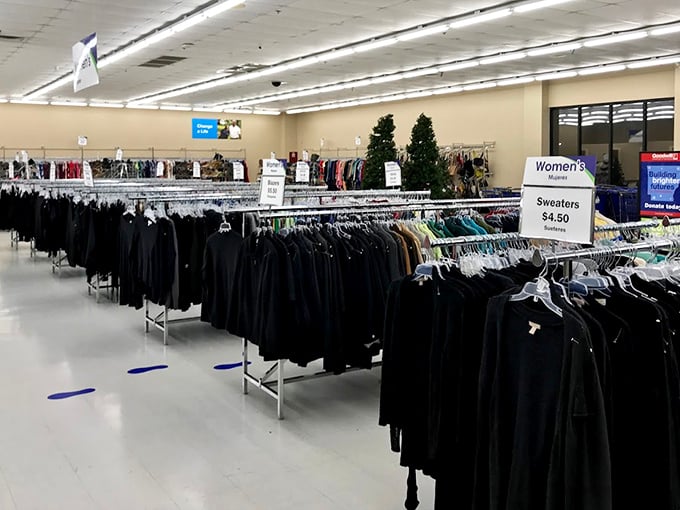 The sweater section stretches into the horizon like a textile rainbow, promising cozy futures at prices that won't give you chills.