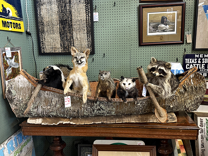 Nature's oddest dinner party guests await adoption &ndash; because nothing says "conversation starter" quite like a canoe full of taxidermied critters.