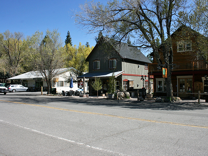 Main Street Markleeville &ndash; where every building tells a story and not one of them involves a franchise agreement or corporate headquarters.