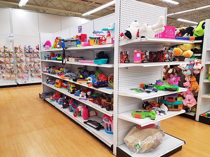 Yesterday's toys seeking tomorrow's adventures. Those plastic dinosaurs and dollhouses are ready for their second act in imaginative hands.