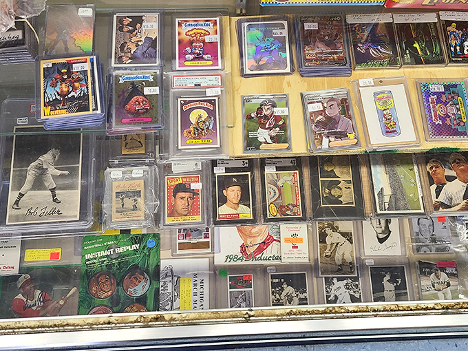 Baseball cards that whisper of summer afternoons and bubble gum dreams. Each plastic sleeve holds a piece of American sports history.