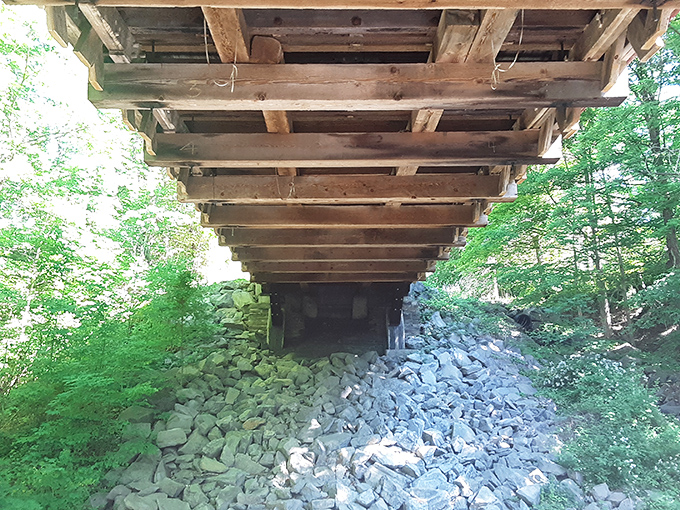 The underside view reveals the bridge's secret strength&mdash;massive stone supports and wooden engineering that's withstood floods, winters, and countless selfie-seekers.