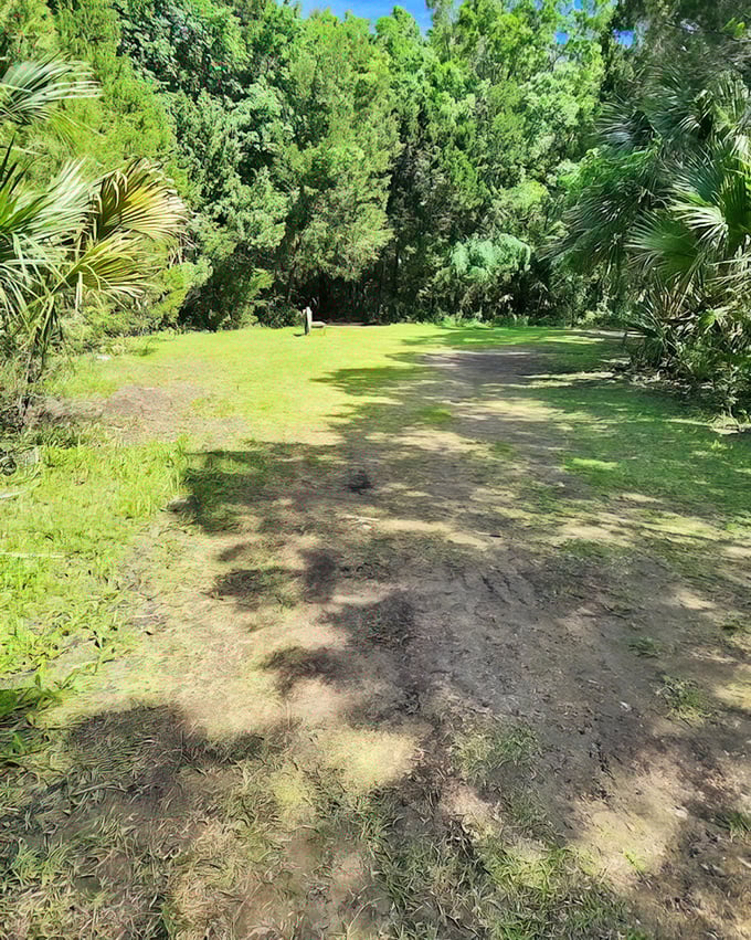 Nature's carpet rolls out before you on this trail. The perfect place to remember your legs were made for more than pressing gas pedals.