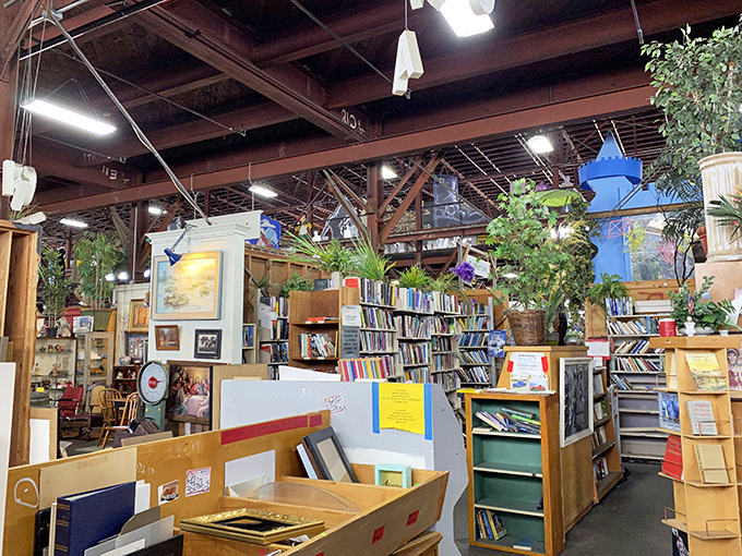 Books, plants, and vintage treasures create that perfect "organized chaos" that makes treasure hunters' hearts beat faster.