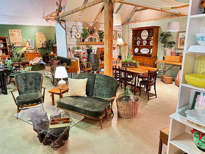 A velvet sofa holds court among wooden treasures, like the living room of your most interesting friend who travels constantly.