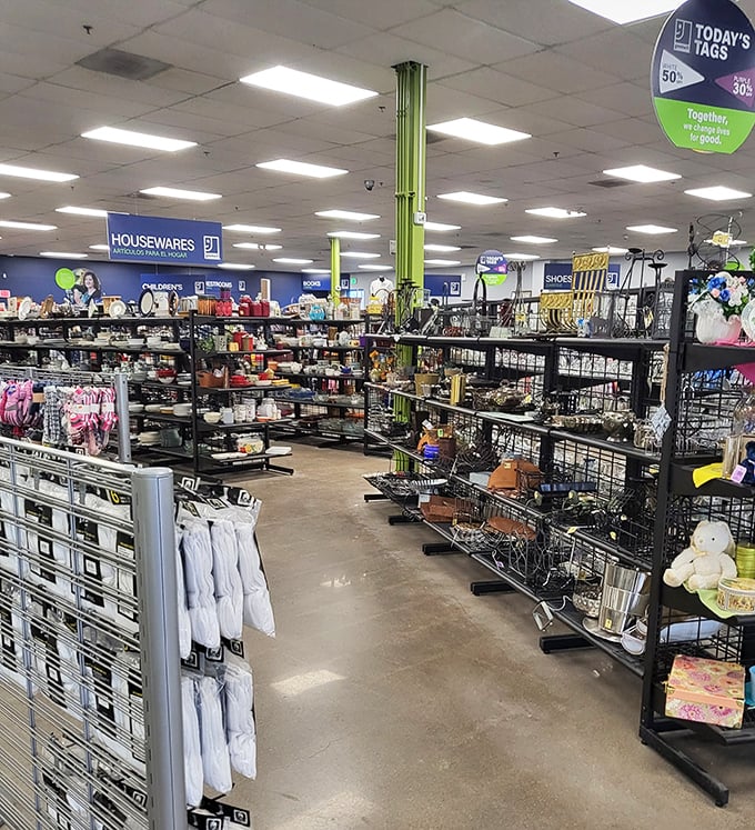 The housewares section: a carefully curated chaos where that perfect pasta strainer you didn't know you needed awaits discovery.