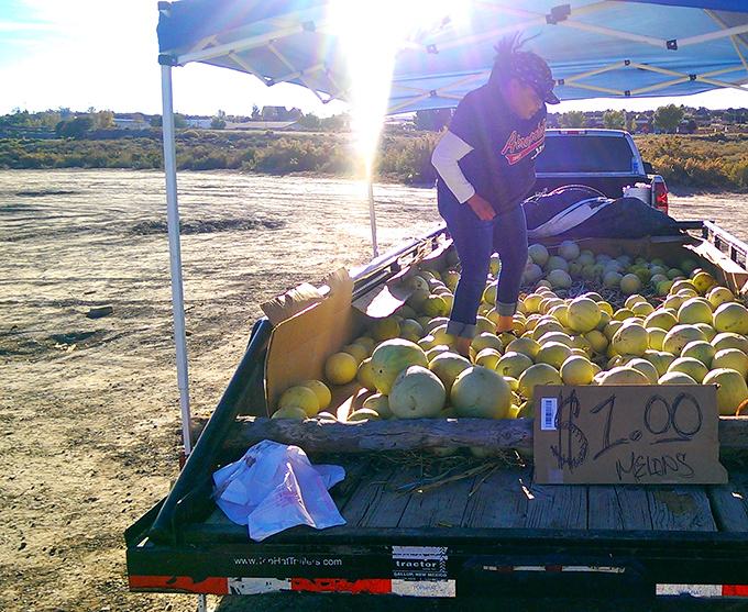 Nature's bounty at desert prices! Fresh melons piled high in the back of a pickup—the original farm-to-market transportation system.