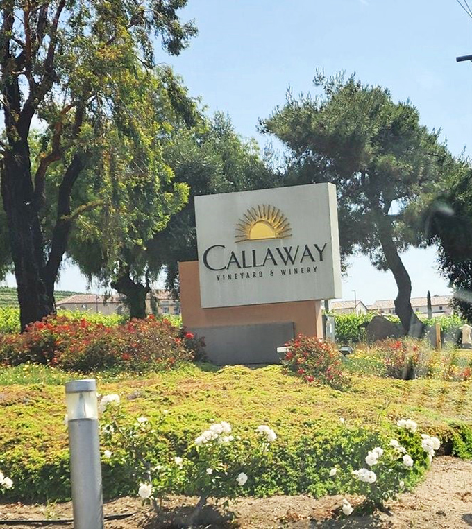 The entrance sign, framed by native plantings, offers a sun-drenched preview of the vineyard's Mediterranean aesthetic.