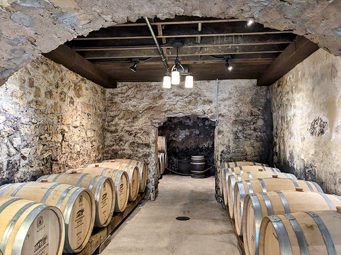 Ancient limestone walls and oak barrels create a cathedral of fermentation where time moves at wine speed.