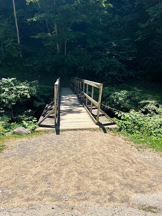 This unassuming wooden bridge isn't just crossing a stream&mdash;it's crossing into a world where office emails and deadlines temporarily cease to exist.