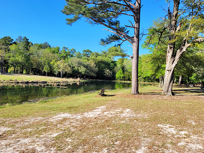 The South Edisto River flowing gently past like liquid relaxation therapy for your stressed soul.