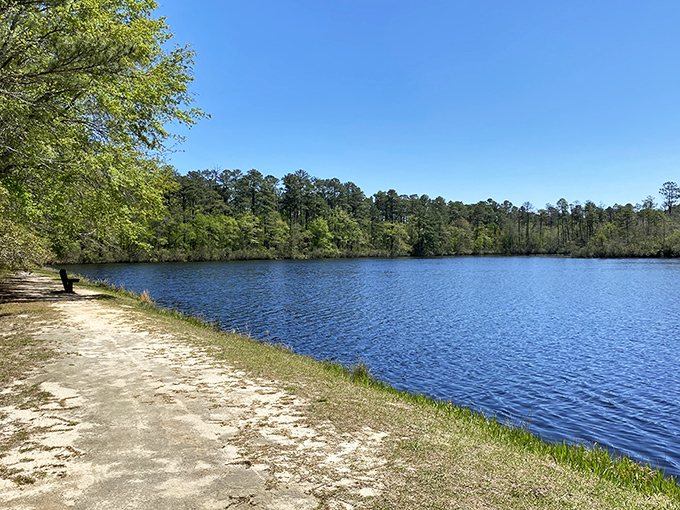 Crystal-clear lake waters stretch toward distant shores, perfect for lazy afternoon boat rides and daydreaming.