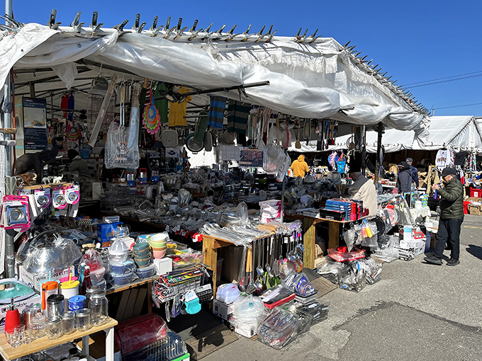 Brooklyn's outdoor market spreads under open skies where urban energy meets vintage charm in perfect weekend harmony. 