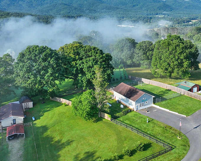 Blairsville's town square creates community gathering spaces where festivals happen without breaking anyone's budget ever.