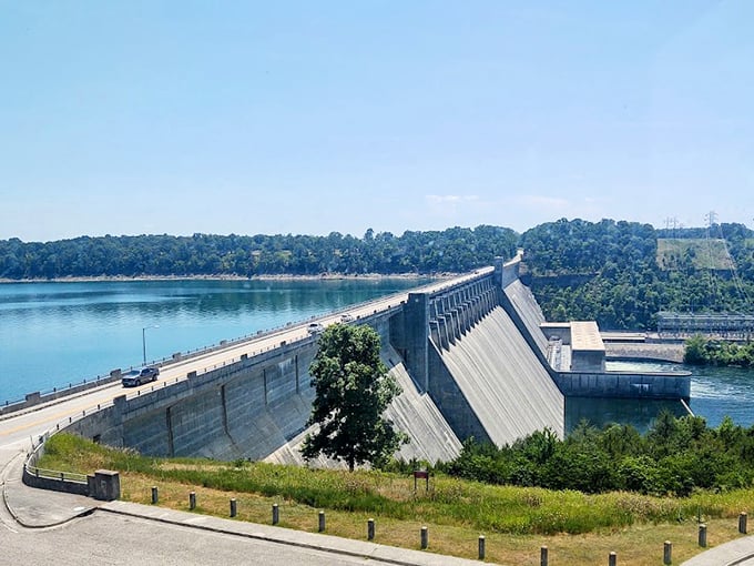 Lakeside living in Bull Shoals costs less than you'd think, proving that water views don't have to sink your budget.