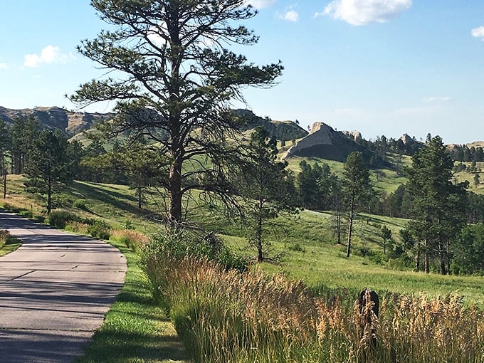 Pine-covered hills roll like green waves, offering scenery that makes you understand why people choose Nebraska's Panhandle for peace.