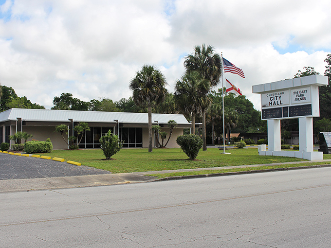 Chiefland's city hall stands surrounded by palm trees and green space &ndash; bureaucracy looks better with sunshine!