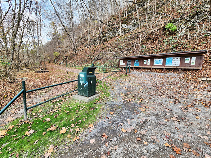 A welcoming trail entrance at Clinch River State Park, where nature's information booth meets your adventure headquarters.