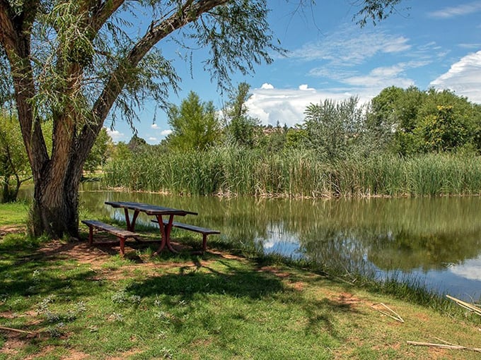 A peaceful bench by the lagoon at Dead Horse Ranch &ndash; nature's version of front-row seats.