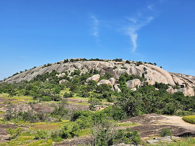 A massive pink granite dome rises from the landscape like a sleeping giant taking a centuries-long nap.