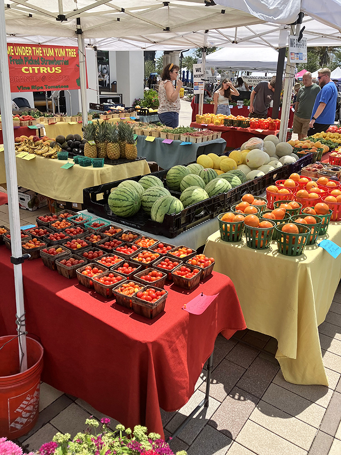 Lakewood Ranch&rsquo;s market is a bright Florida postcard come to life&mdash;sunny skies, colorful produce, and enough fresh fruit to make your kitchen sing.