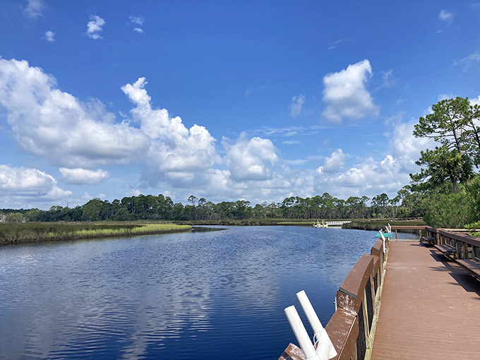 Salt marshes stretch endlessly, creating a peaceful waterscape that makes city stress simply evaporate away.