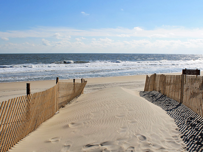 Fenwick Island's pristine dunes stand guard between civilization and the endless Atlantic, nature's perfect boundary keepers.