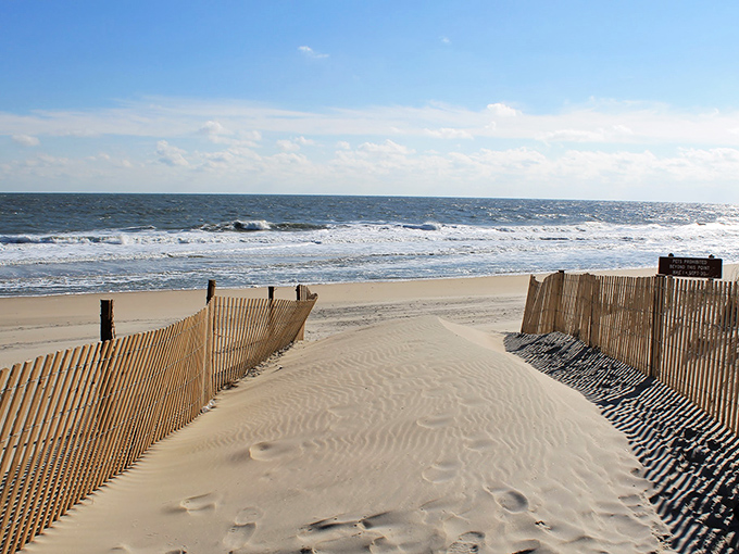 A sandy path at Fenwick Island State Park leads over the dunes to the rhythmic waves beyond &mdash; a simple, timeless beach escape.