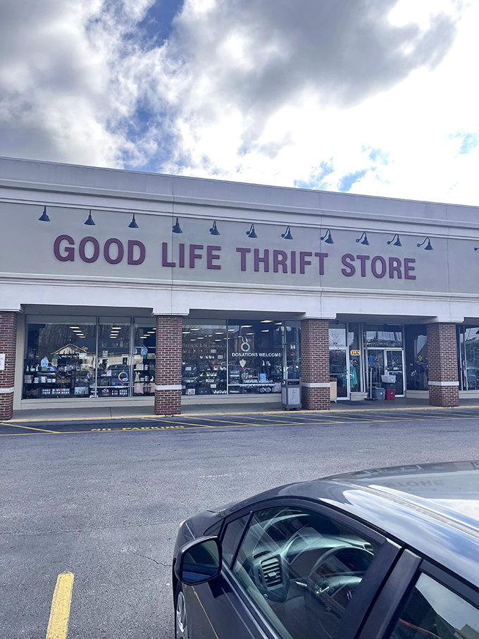 Modern design with those cheerful hanging lights creates a shopping experience that's actually enjoyable.