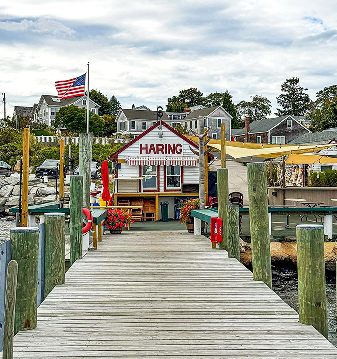 Follow the wooden dock to seafood nirvana. Haring's tiny harborside haven delivers big on that authentic New England experience.