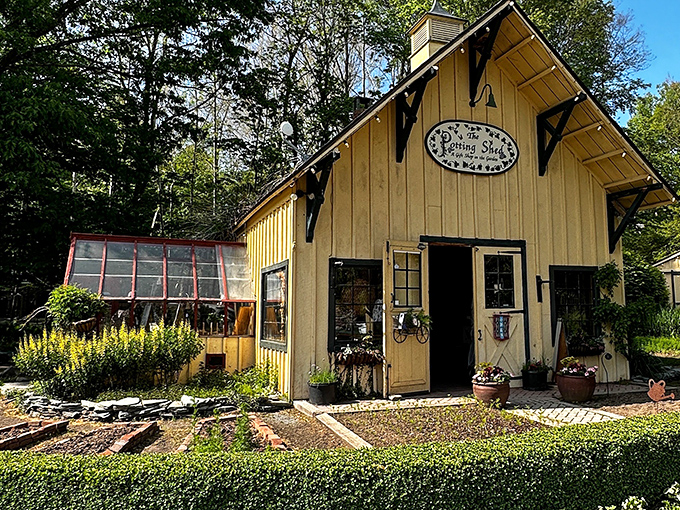The Potting Shed in St. Peter's Village looks like it was plucked from a storybook, complete with garden plots that would make Peter Rabbit jealous.