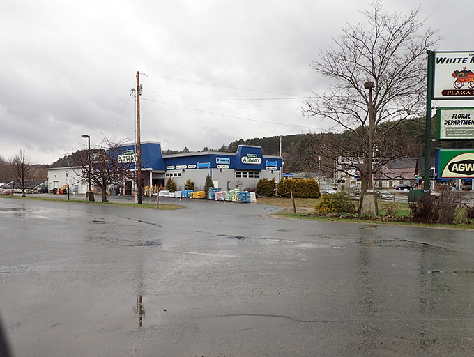 Lyndonville's charming main street offers small-town necessities and unexpected treasures, all without the inflated prices of Vermont's tourist destinations.