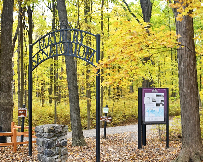 Maybury's forest trails &ndash; where you can pretend you're miles from civilization while still getting cell service.