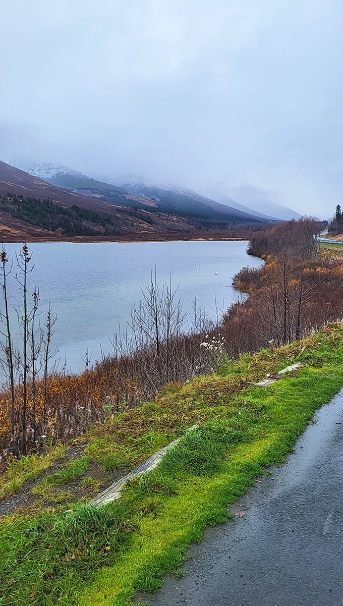 Moose Pass offers the kind of unfiltered Alaska beauty that makes you question why you ever lived anywhere with traffic lights.