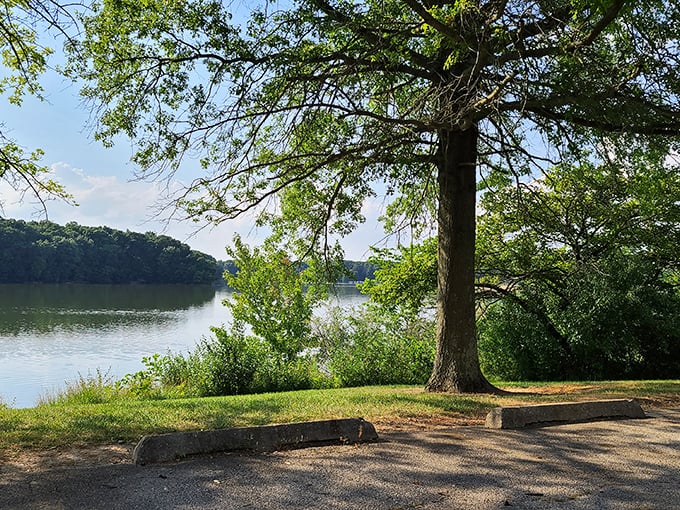 Moraine View's serene shoreline offers front-row seats to nature's daily performance of light and shadow.