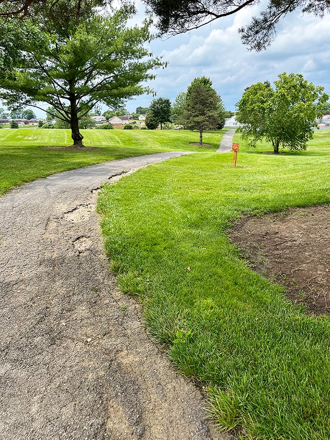 Mount Sterling feels like a Norman Rockwell painting where you can actually afford the rent.