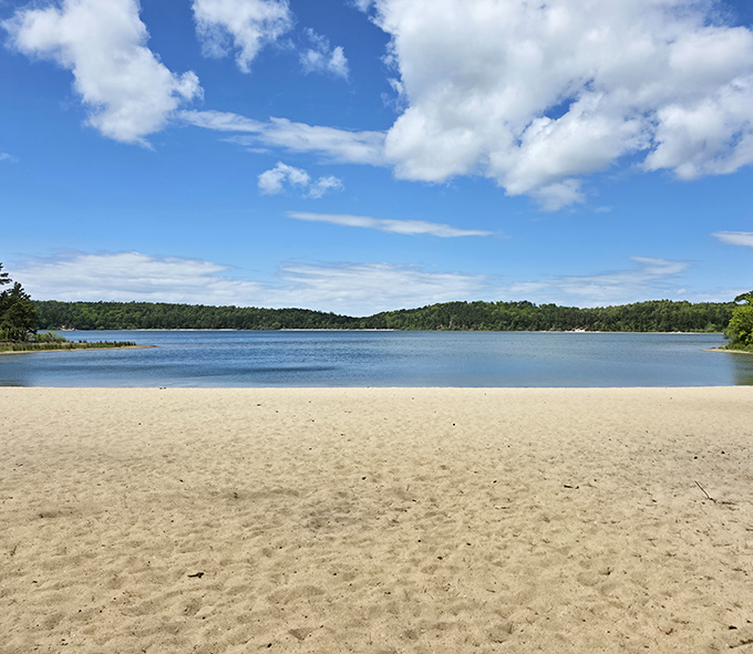 The simple perfection of a freshwater oasis. The bright sand and clear water are perfectly framed by the distant trees and a classic, cloud-dotted sky.