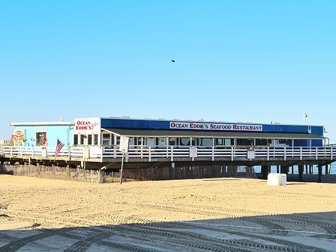 Ocean Eddie's pier location means your dinner was probably swimming this morning – talk about farm-to-table freshness!