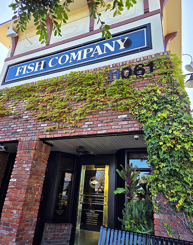 The Original Fish Co.'s ivy-covered brick facade exudes timeless elegance. Like a seafood speakeasy hiding in plain sight.