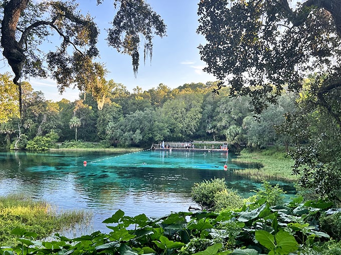 Rainbow Springs' blue-green waters seem to glow from within. Mother Nature clearly plays favorites with this one.