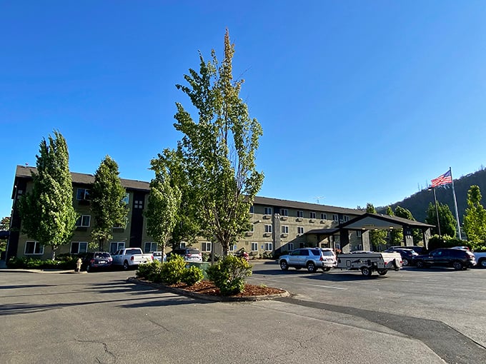 Tree-lined streets and mountain views make everyday errands feel like scenic drives in Roseburg. 
